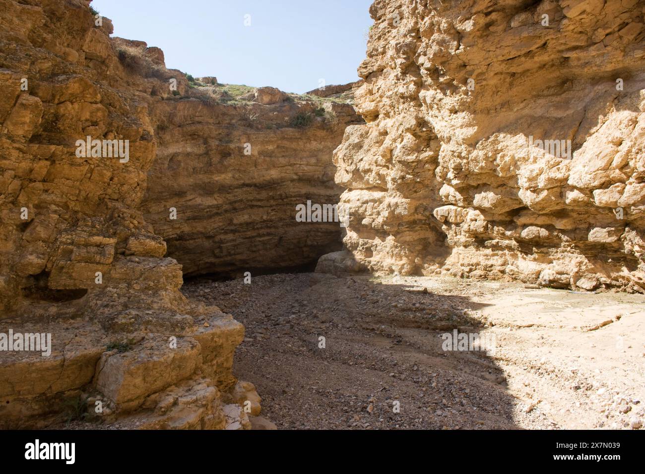 Judean Desert landscape dry riverbed (wadi), Israel Stock Photo - Alamy