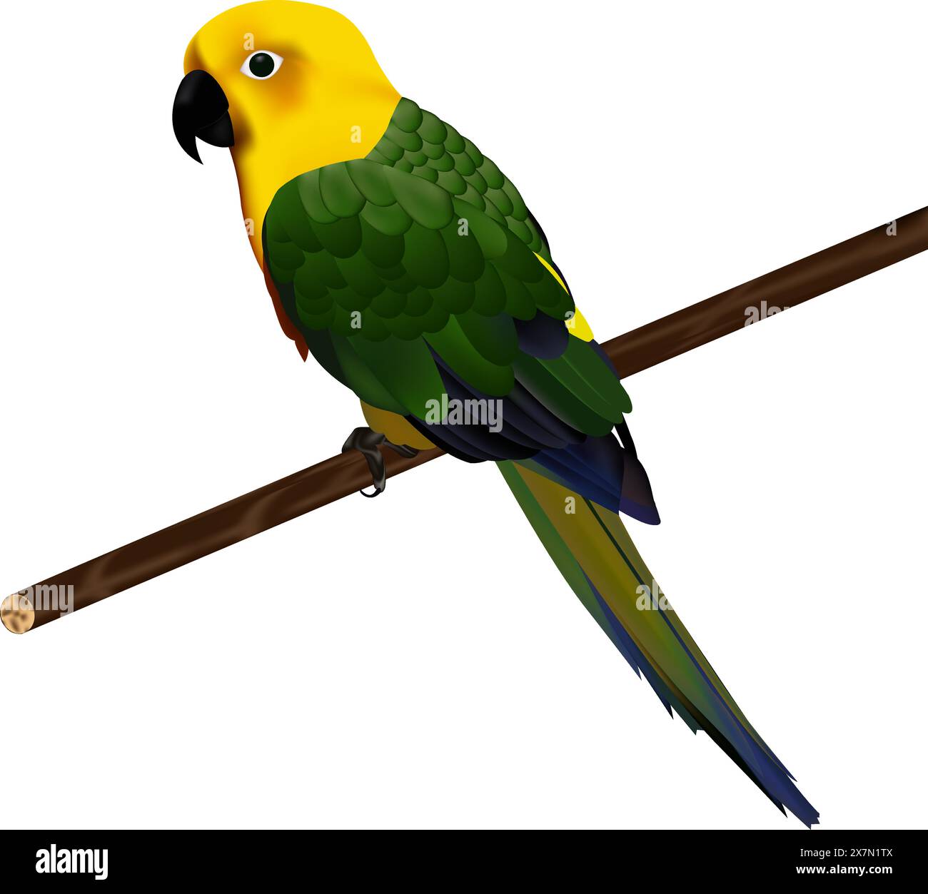 Parrot cartoon vector illustration Stock Vector Image & Art - Alamy