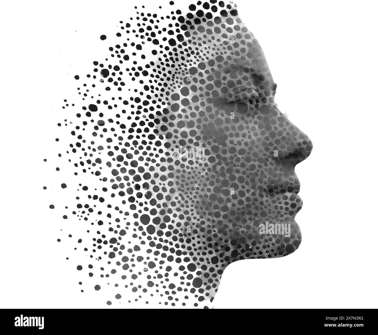 A woman's profile disappearing into a dotted pattern in paintography ...