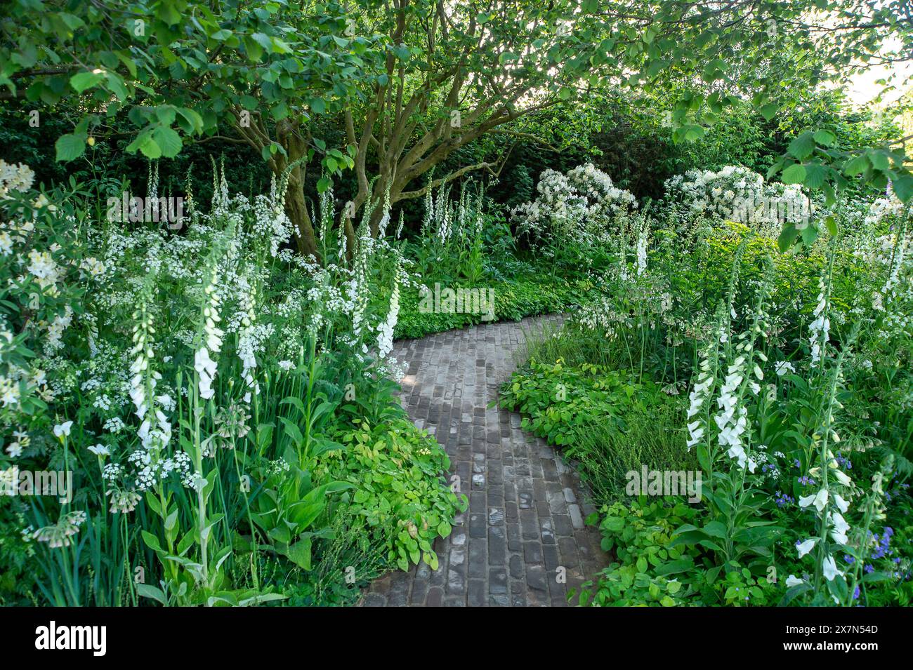 London, UK. 20th May, 2024. The National Garden Scheme Garden Show ...