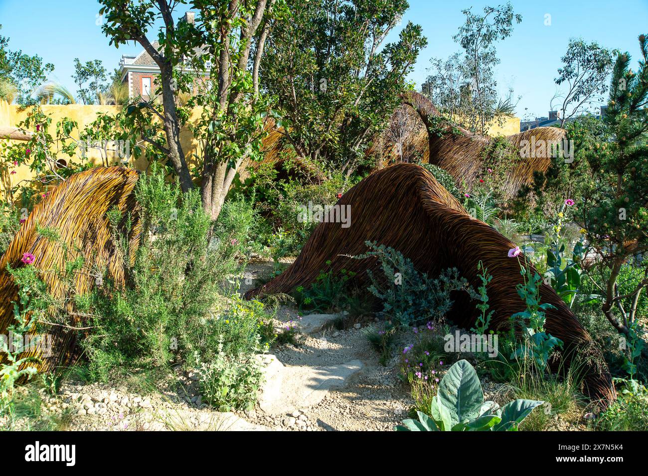 London, UK. 20th May, 2024. The Freedom from Torture Sanctuary Garden ...