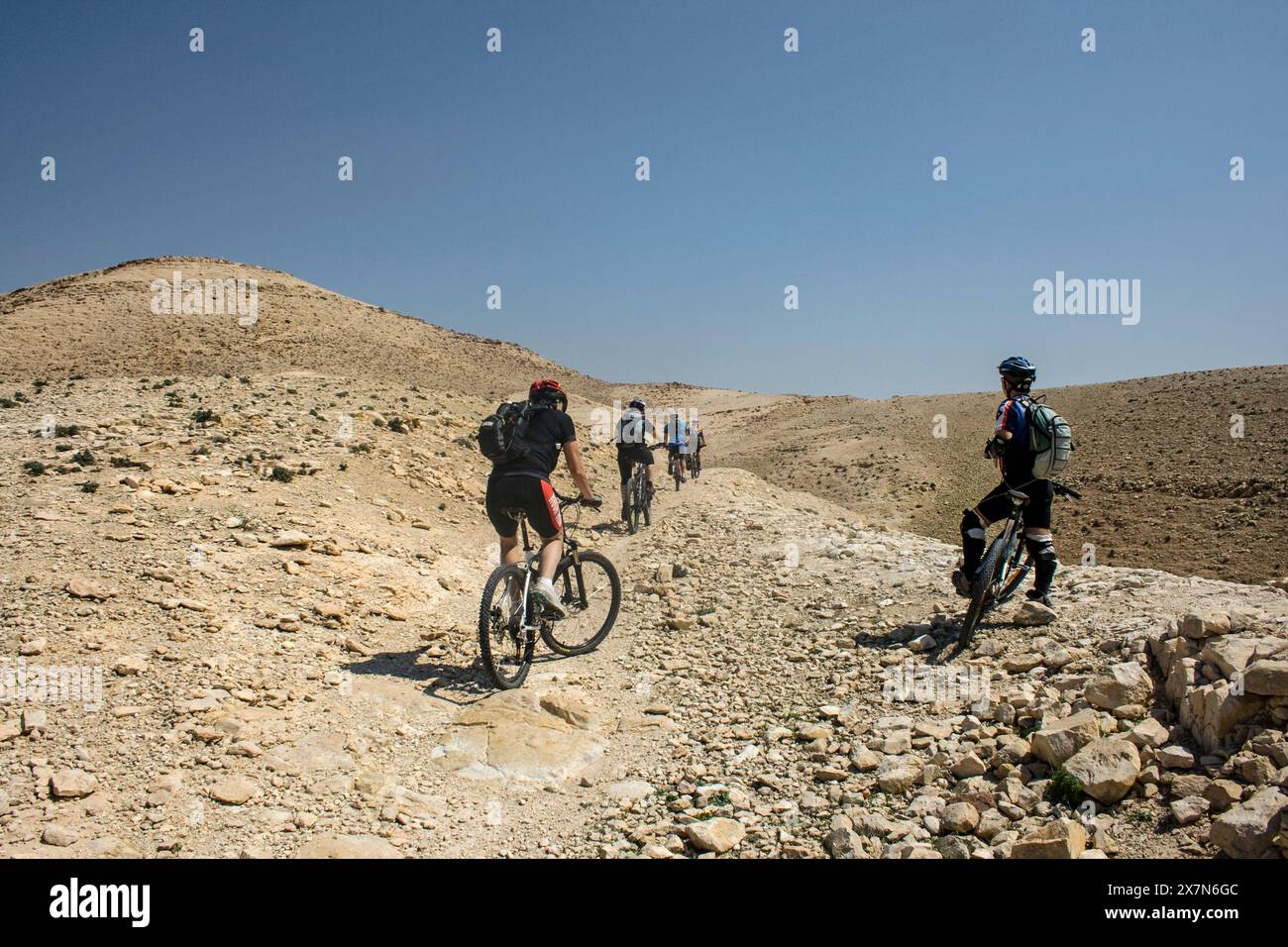 A group of cyclists on Mountain bikes touring in the Judean Desert ...