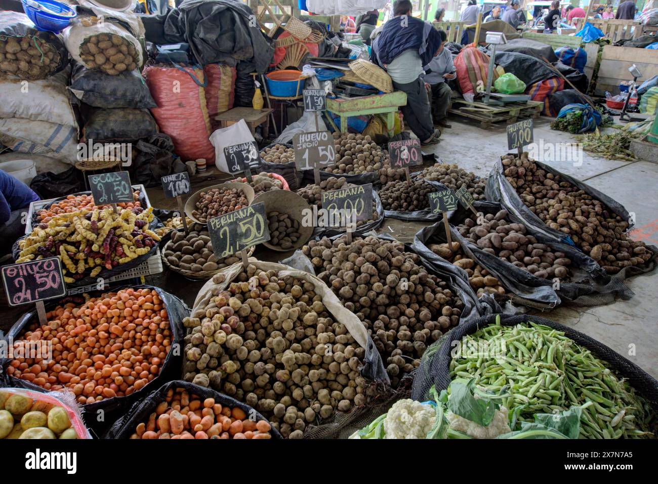 Chimbote, Peru - April 18, 2024: Various types of potato for sale in ...