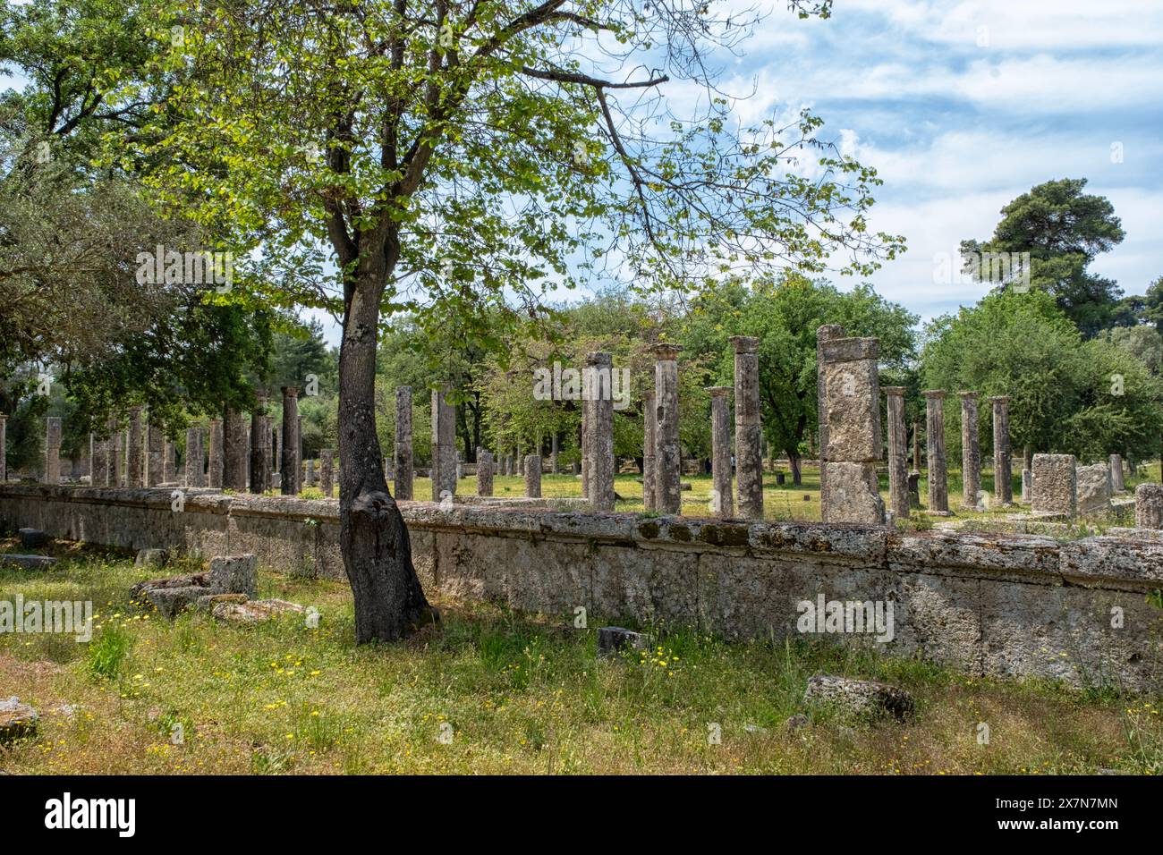 The Gymnasion. Gymnasium, Ancient Olympia., Olympia, Peloponnese ...