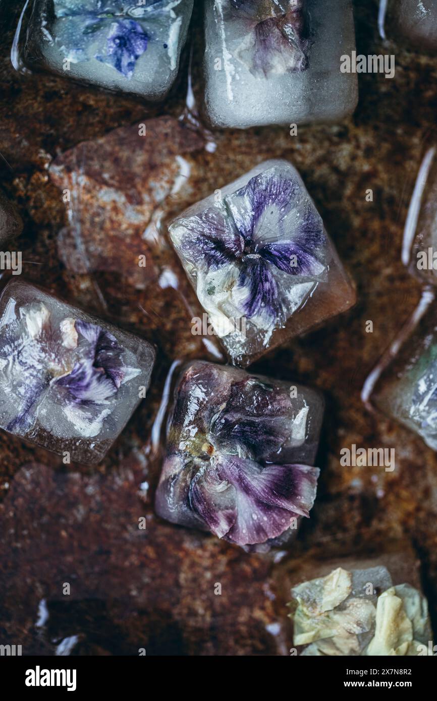 Ice cubes with edible flowers Stock Photo - Alamy