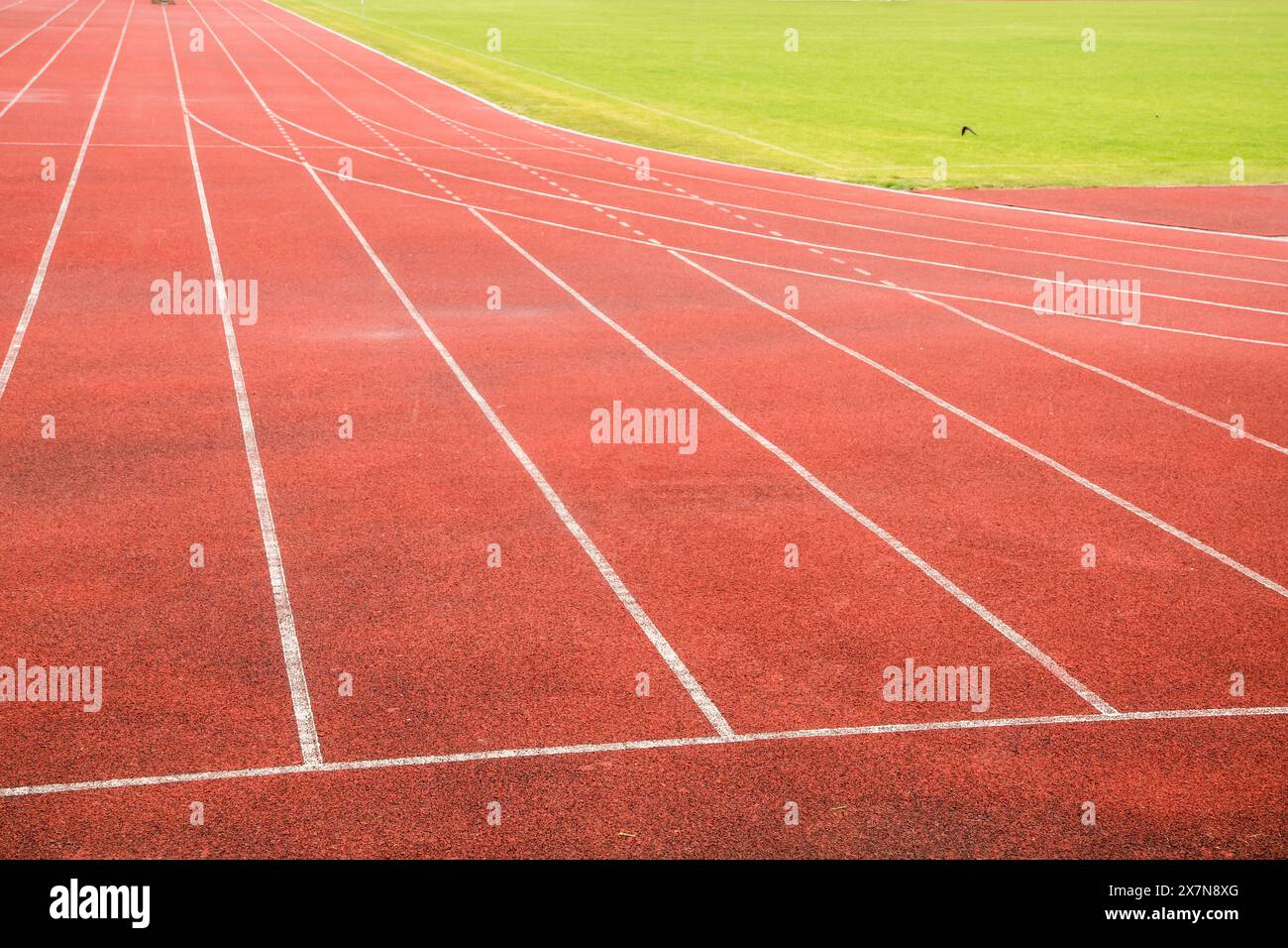 Track and field lines of running track in stadium Stock Photo - Alamy