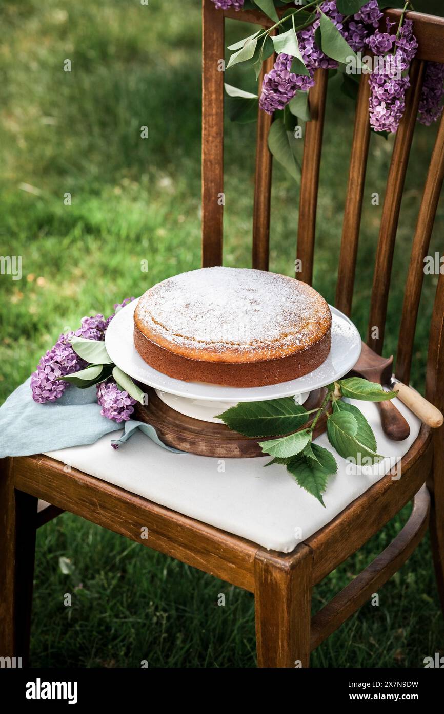 A yellow cake on a rustic chair in a garden during summer Stock Photo ...
