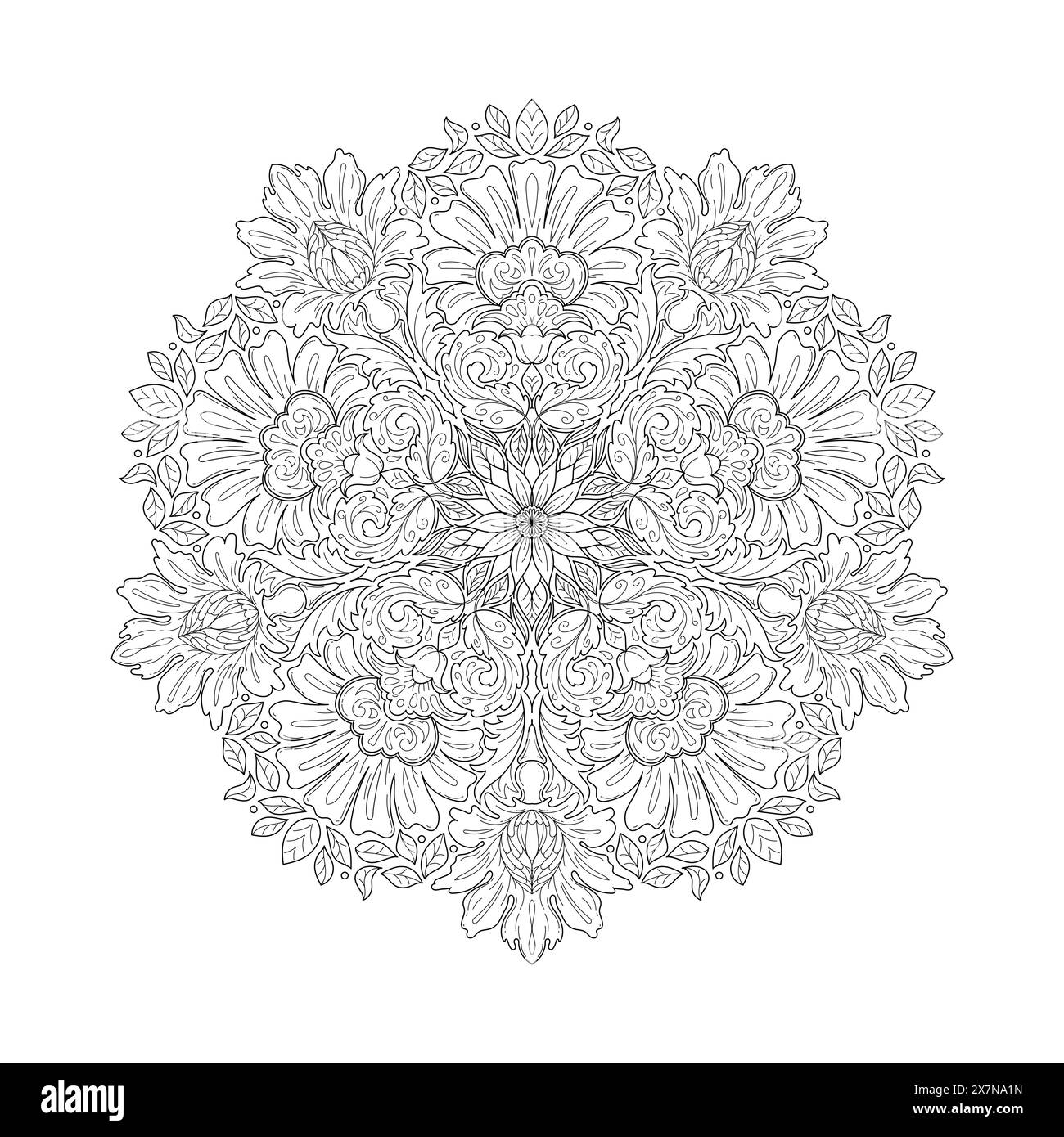 Floral mandala vector drawing, flowers, leaves and buds of plants ...