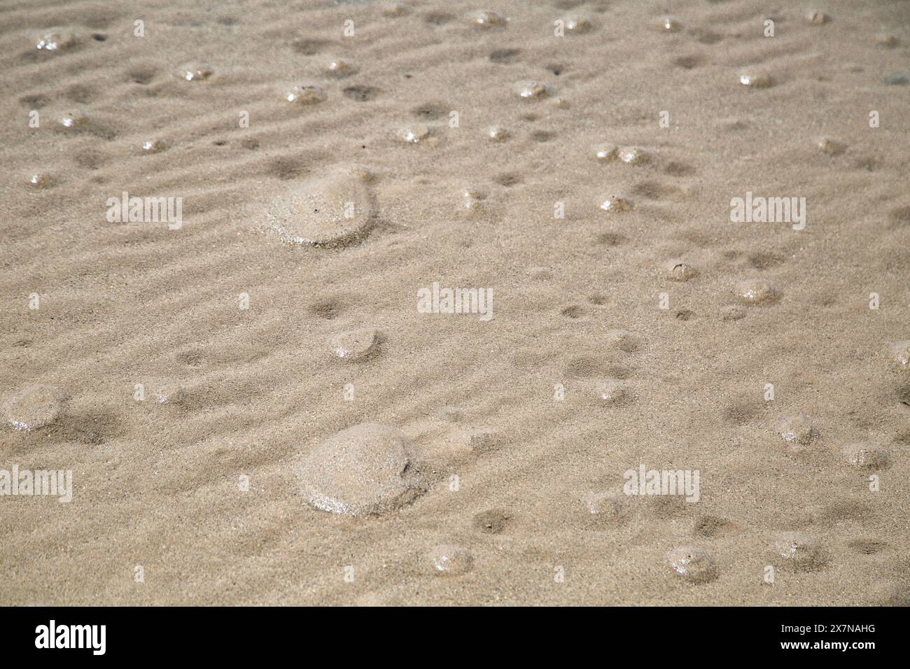 Underwater sand, Egypt Stock Photo - Alamy