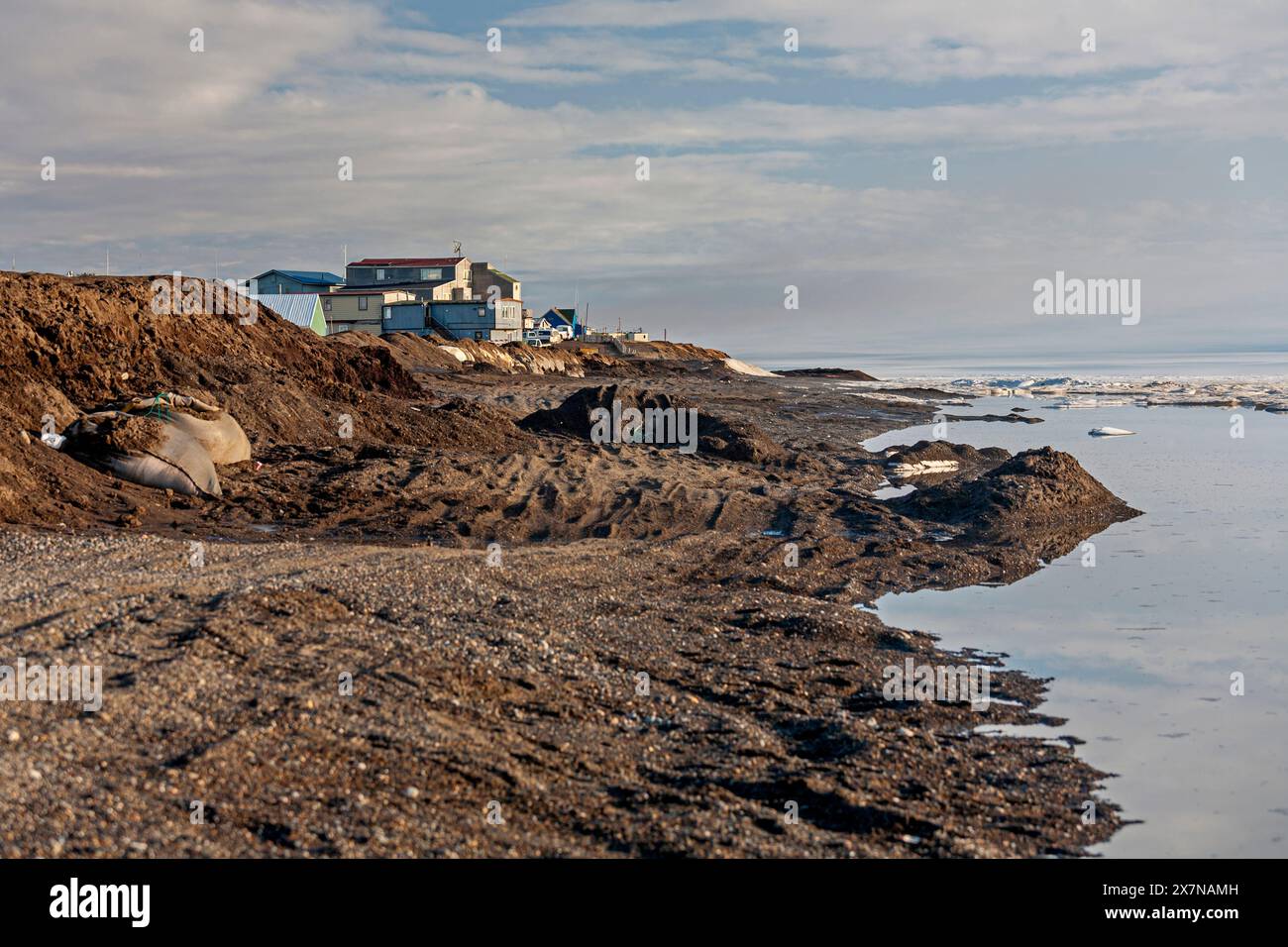 Thawing permafrost at the arctic ocean, pack ice, Barrow, Alaska, USA ...