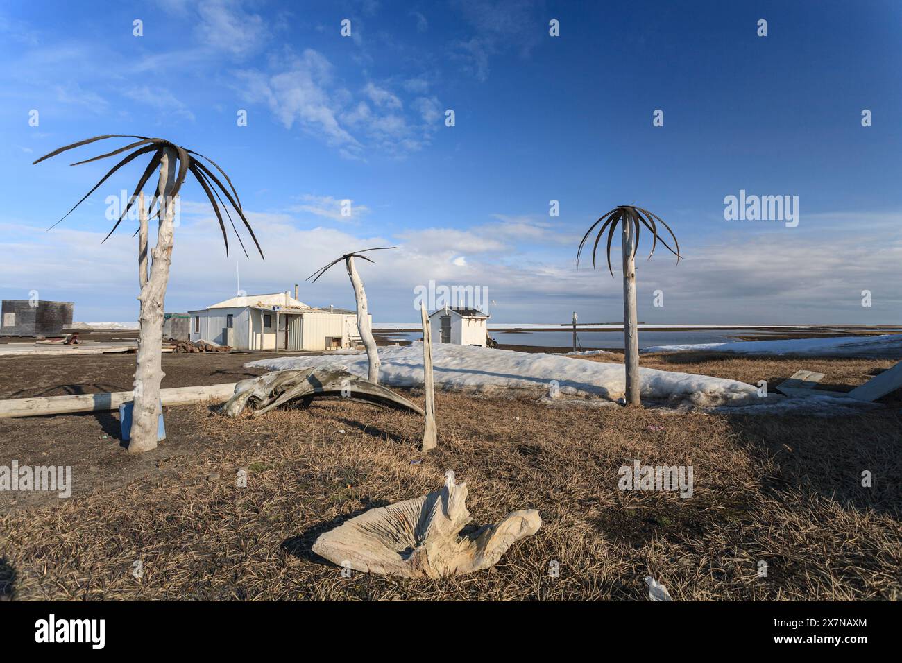 Artwork, palm trees and whale bones, Point Barrow, Barrow, Alaska, USA ...