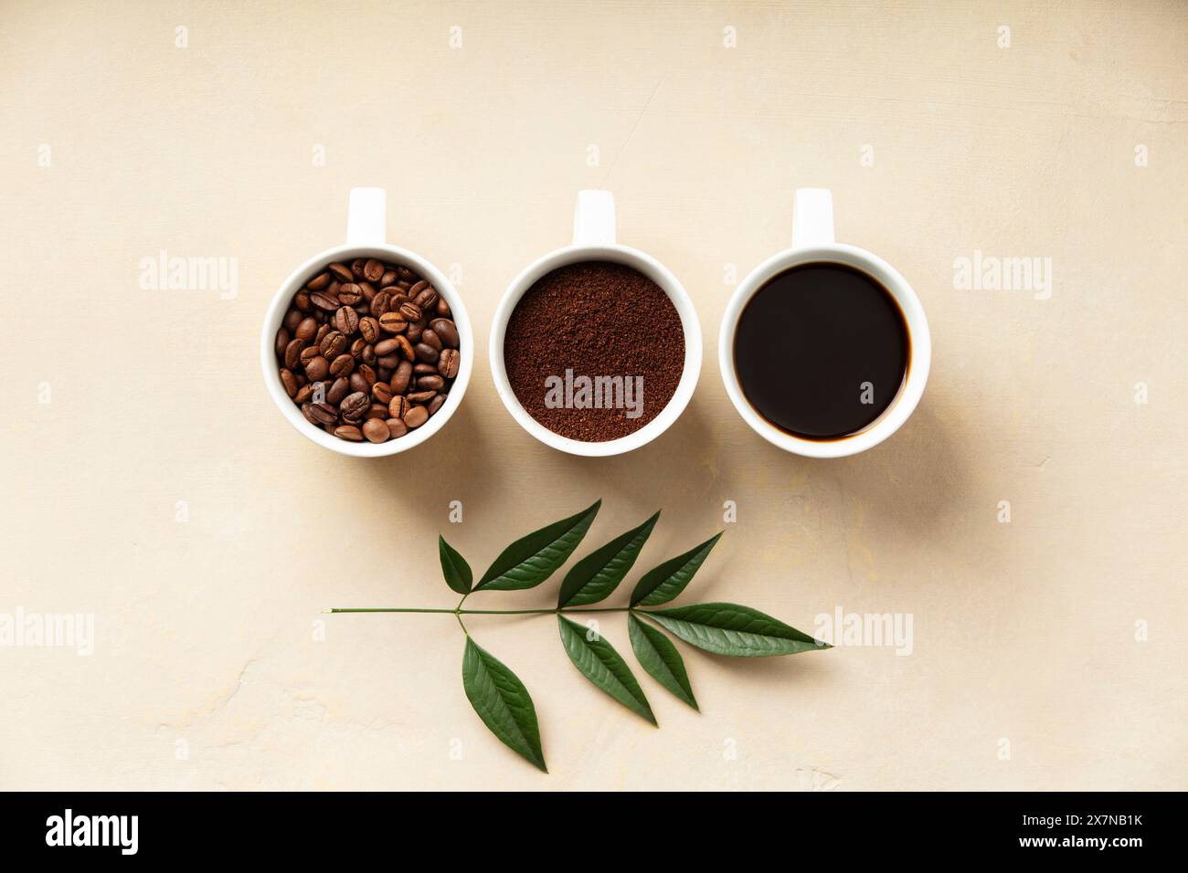 Coffee making process hi-res stock photography and images - Alamy