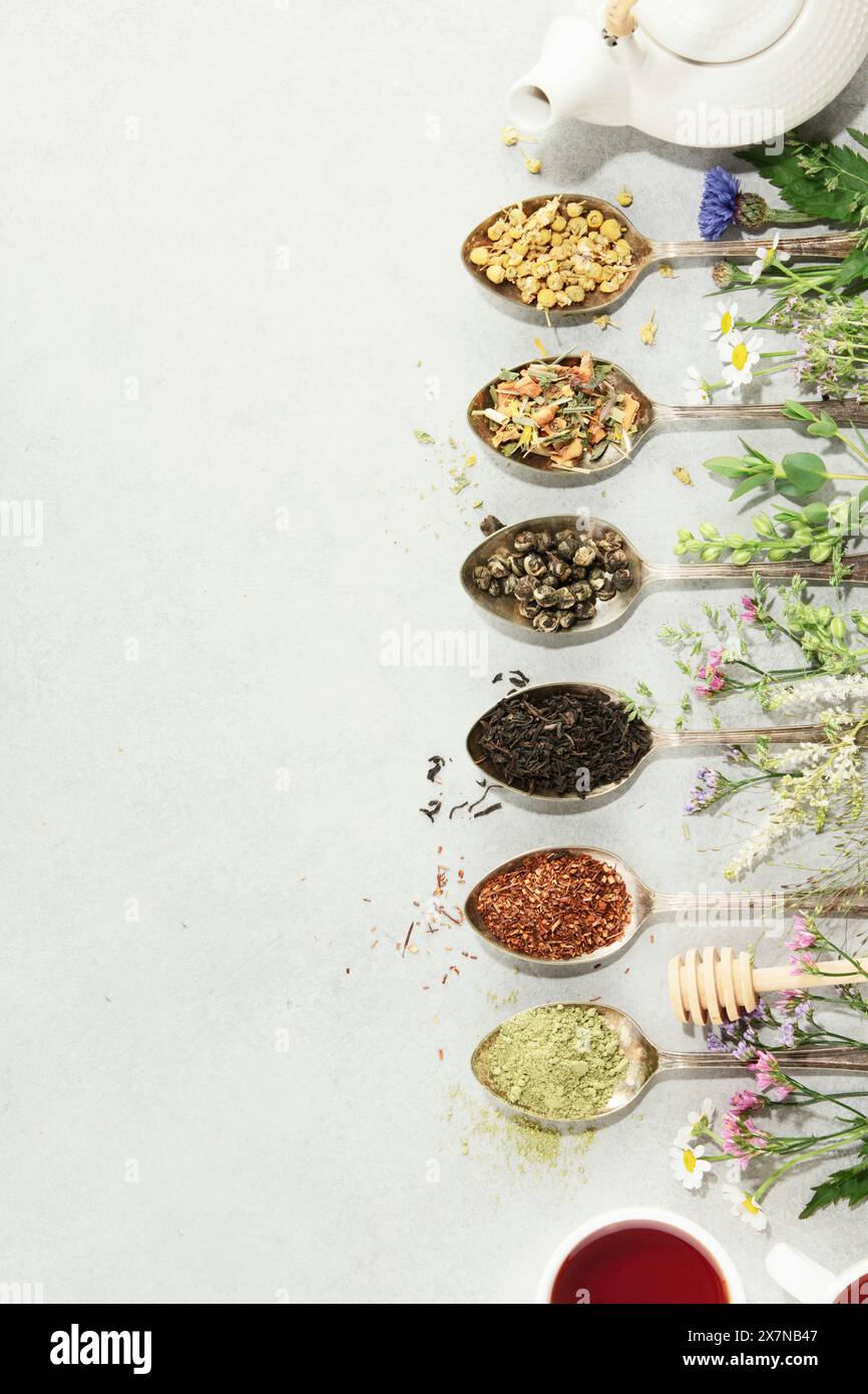 Different types of tea in vintage spoons. and Healing herbs Flat lay, top view on concrete ...