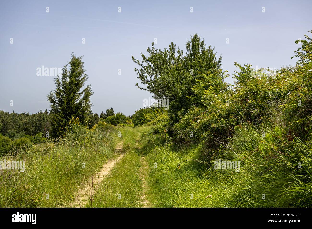 "Hidden in nature’s heart, I find a world untouched and alive with ...
