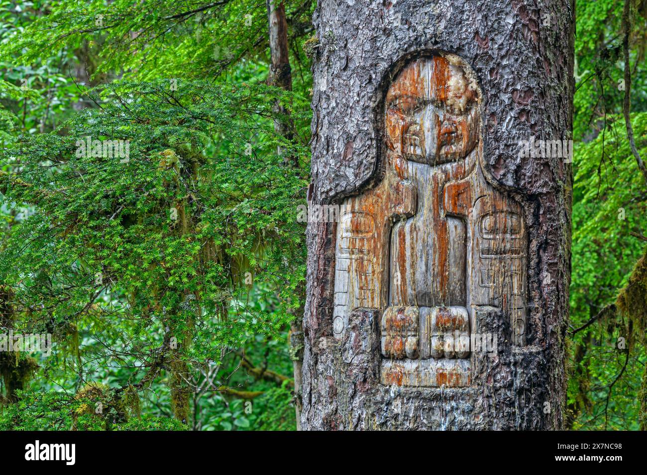 Indigenous artwork of local natives at a tree, Southeast Alaska, Alaska ...