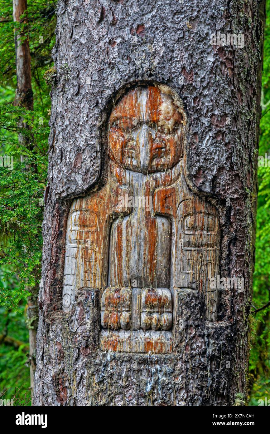 Indigenous artwork of local natives at a tree, Southeast Alaska, Alaska ...