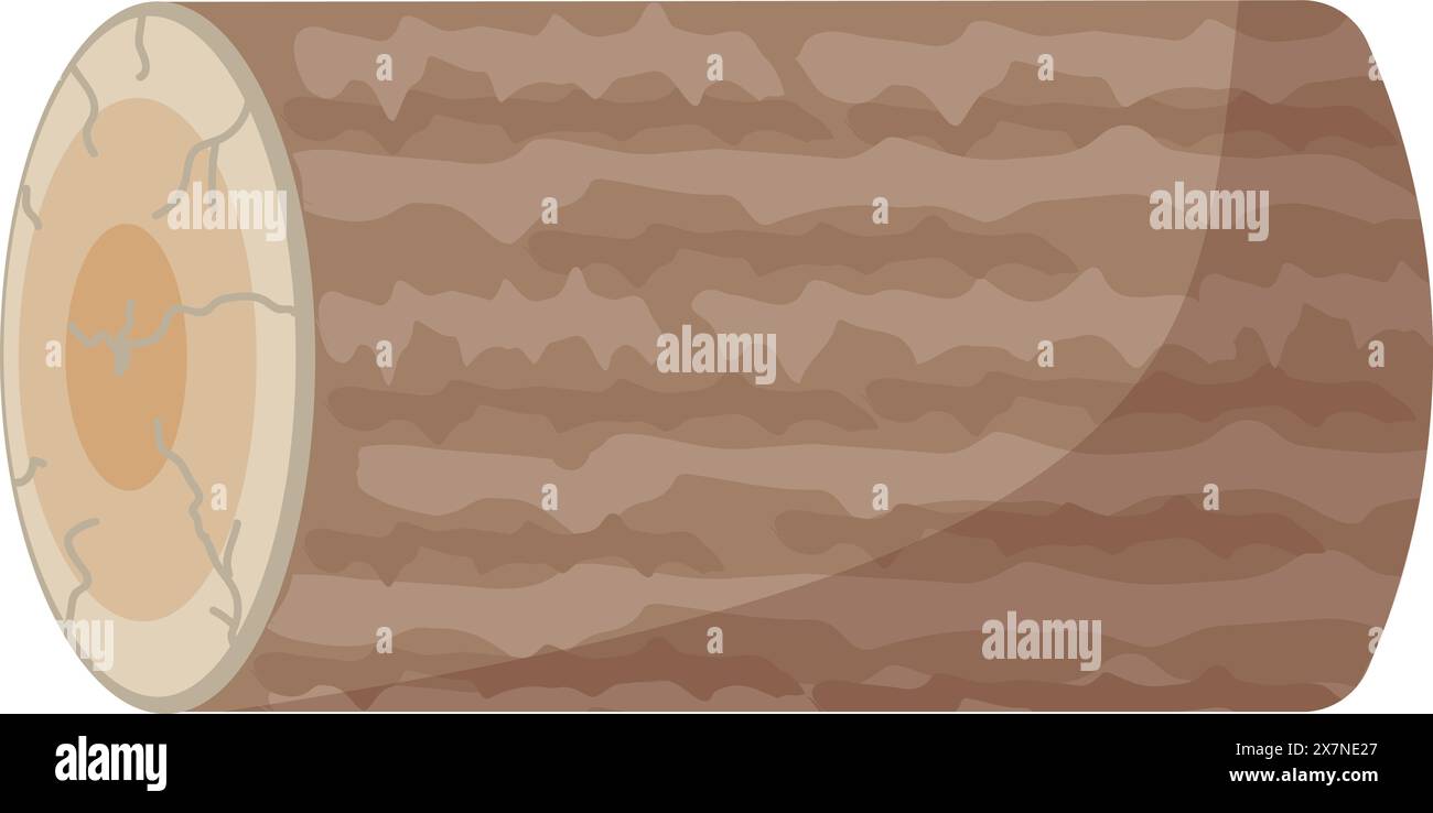 Cartoon log cross section illustration Stock Vector Image & Art - Alamy