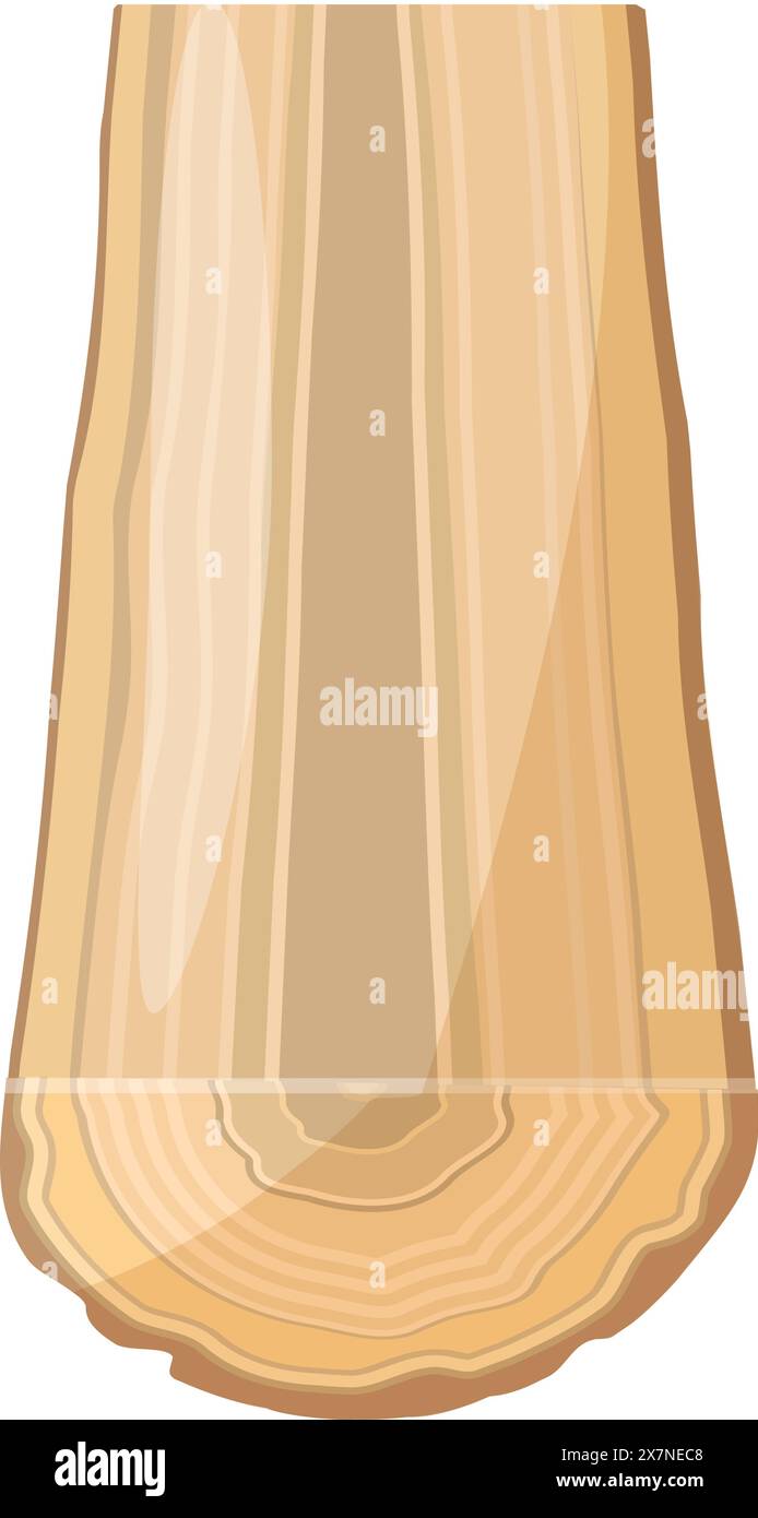 Illustration of a wooden log cross section Stock Vector Image & Art - Alamy
