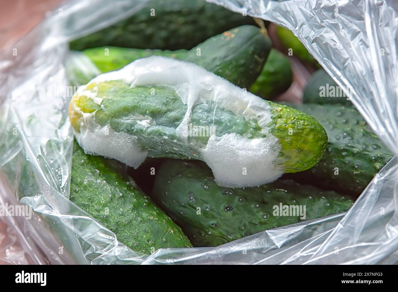 Rotten vegetables garden hi-res stock photography and images - Alamy
