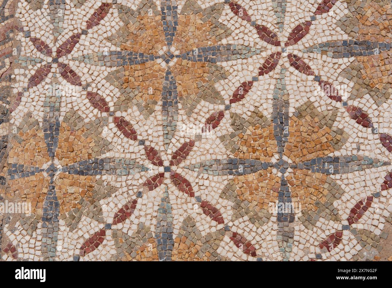 Mosaics at the ancient archaeological ruins of the Phoenician city of ...