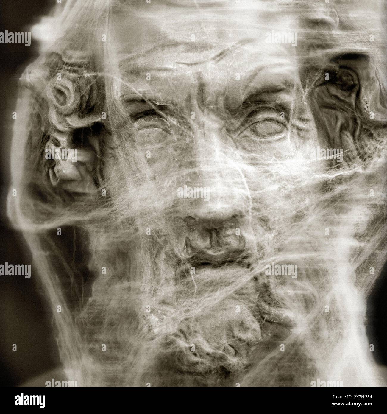 Homer Philosophy , Plaster Head, covered Cobwebs Stock Photo - Alamy