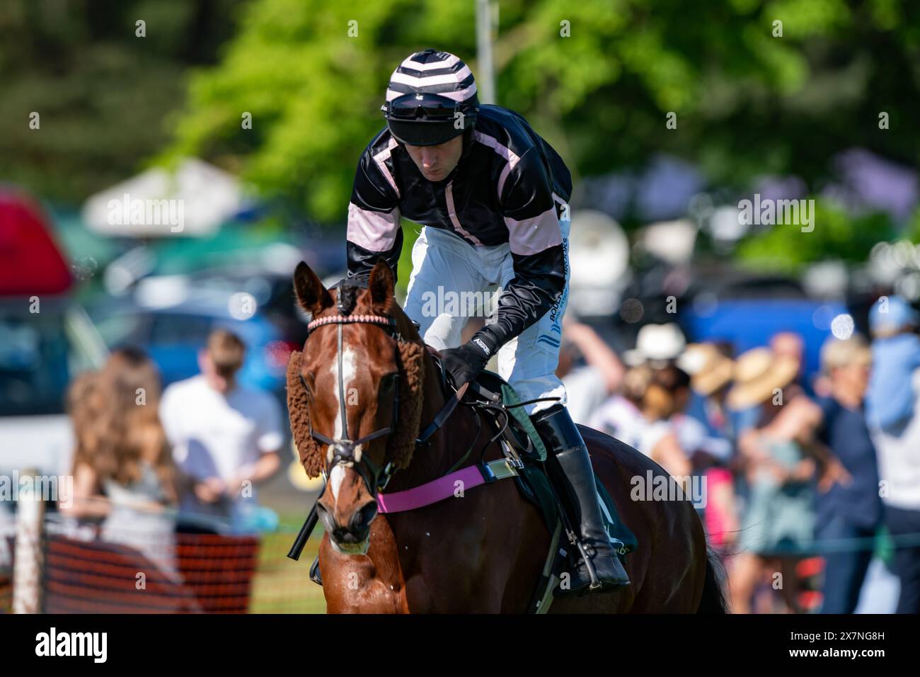 Buzzard Trix and Tommie O'Brien win the 2024 Lord Daresbury Classic ...