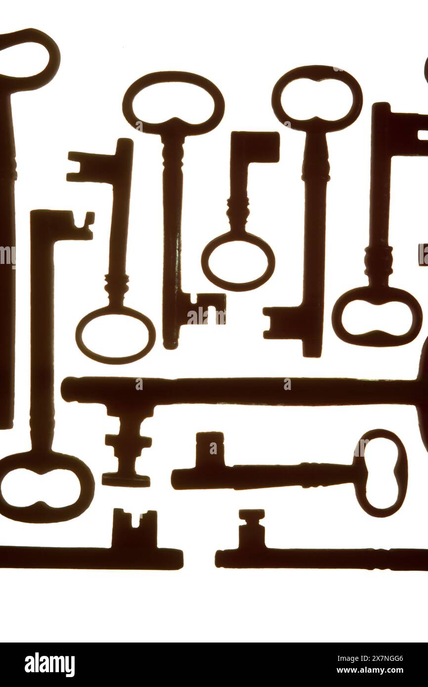 Key election hi-res stock photography and images - Alamy