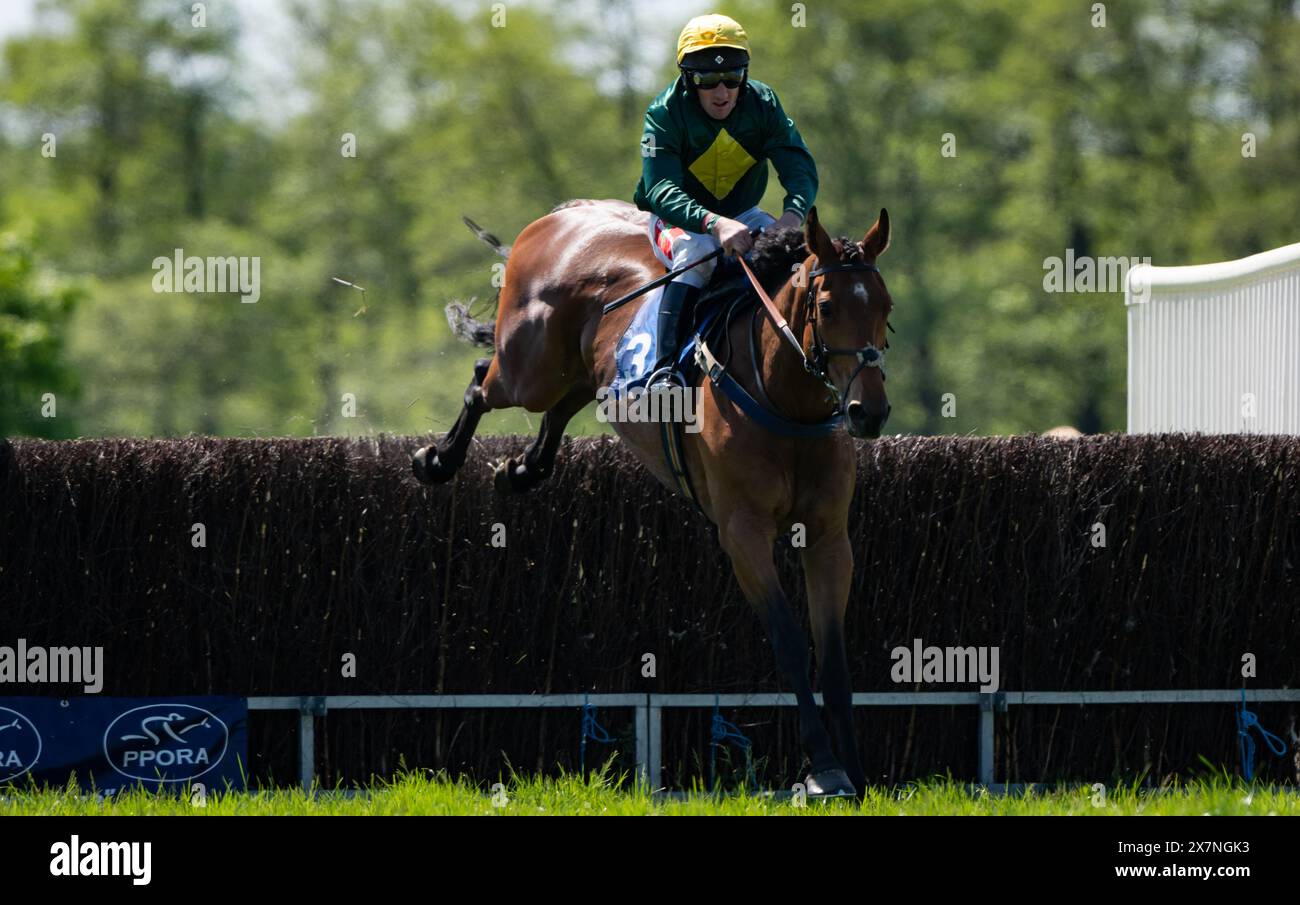 Imagery from the 2024 Knutsford Races, Tabley Hall, Cheshire, Sunday ...