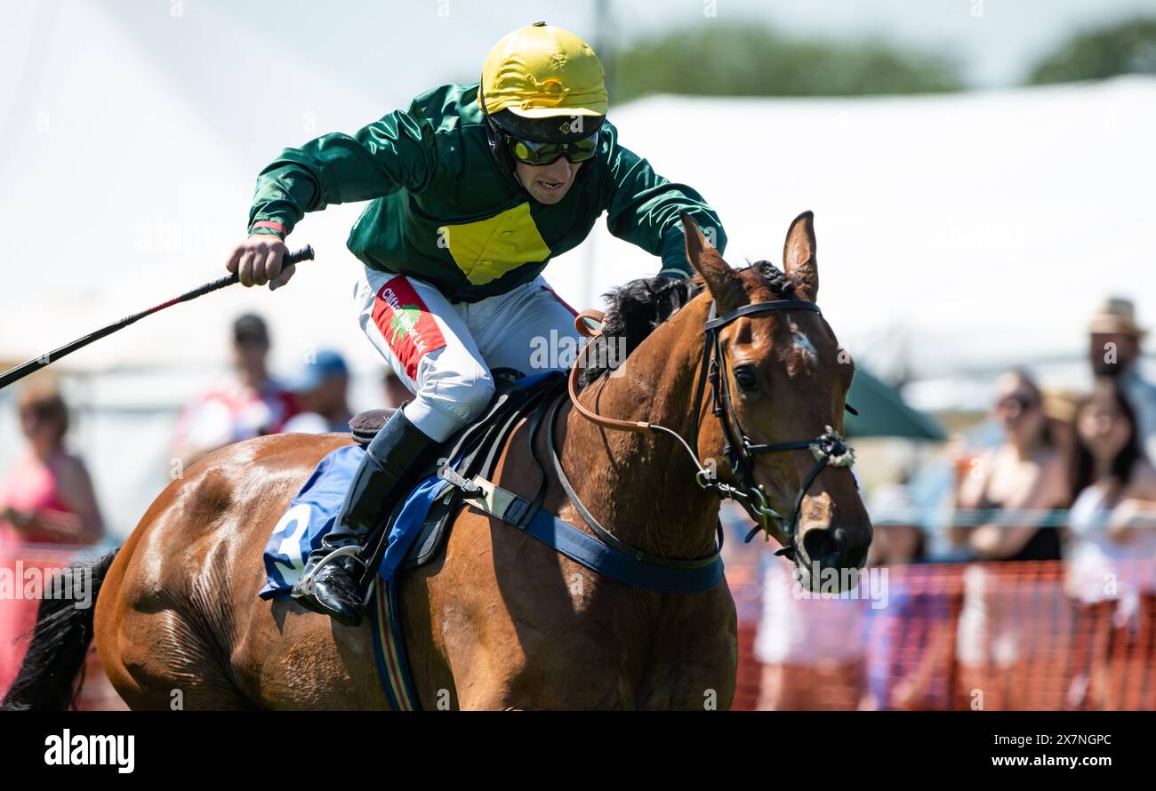 Lord of cheshire jumping hi-res stock photography and images - Alamy