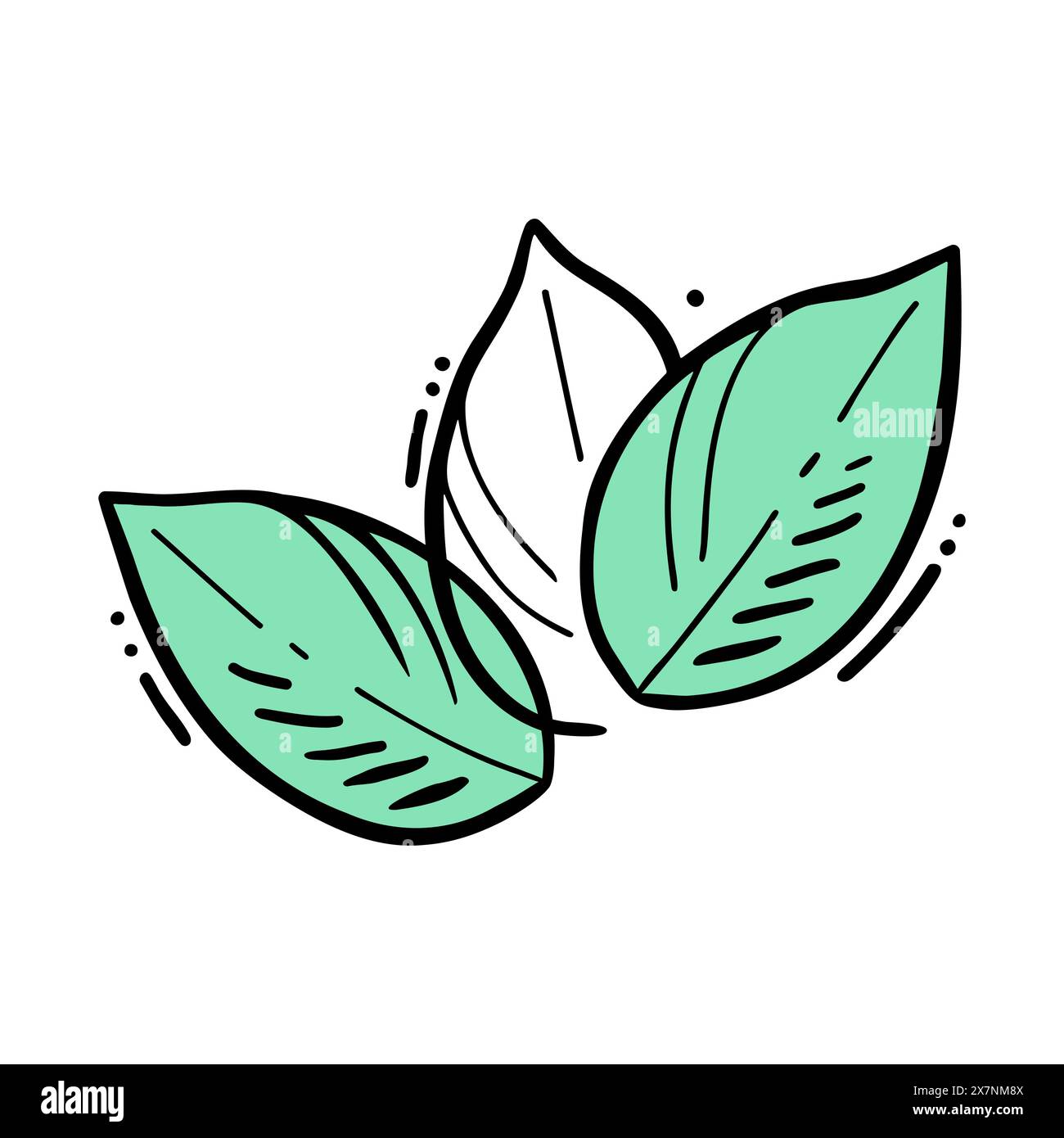 Leaves Mint stylized doodle, contour drawing mint color, isolated on ...
