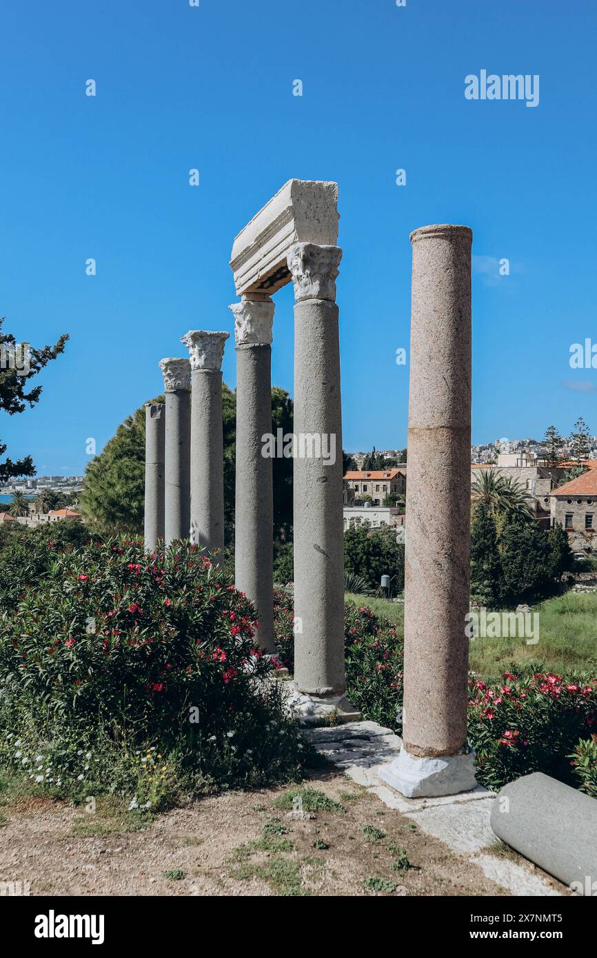 Roman ruins in the Lebanese ancient city of Byblos Stock Photo - Alamy
