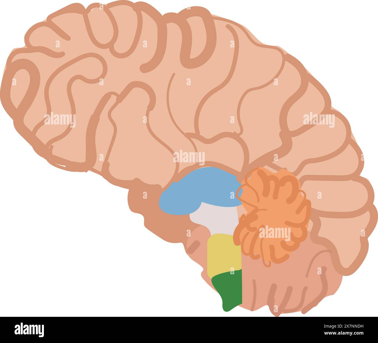 Color coded system Cut Out Stock Images & Pictures - Alamy