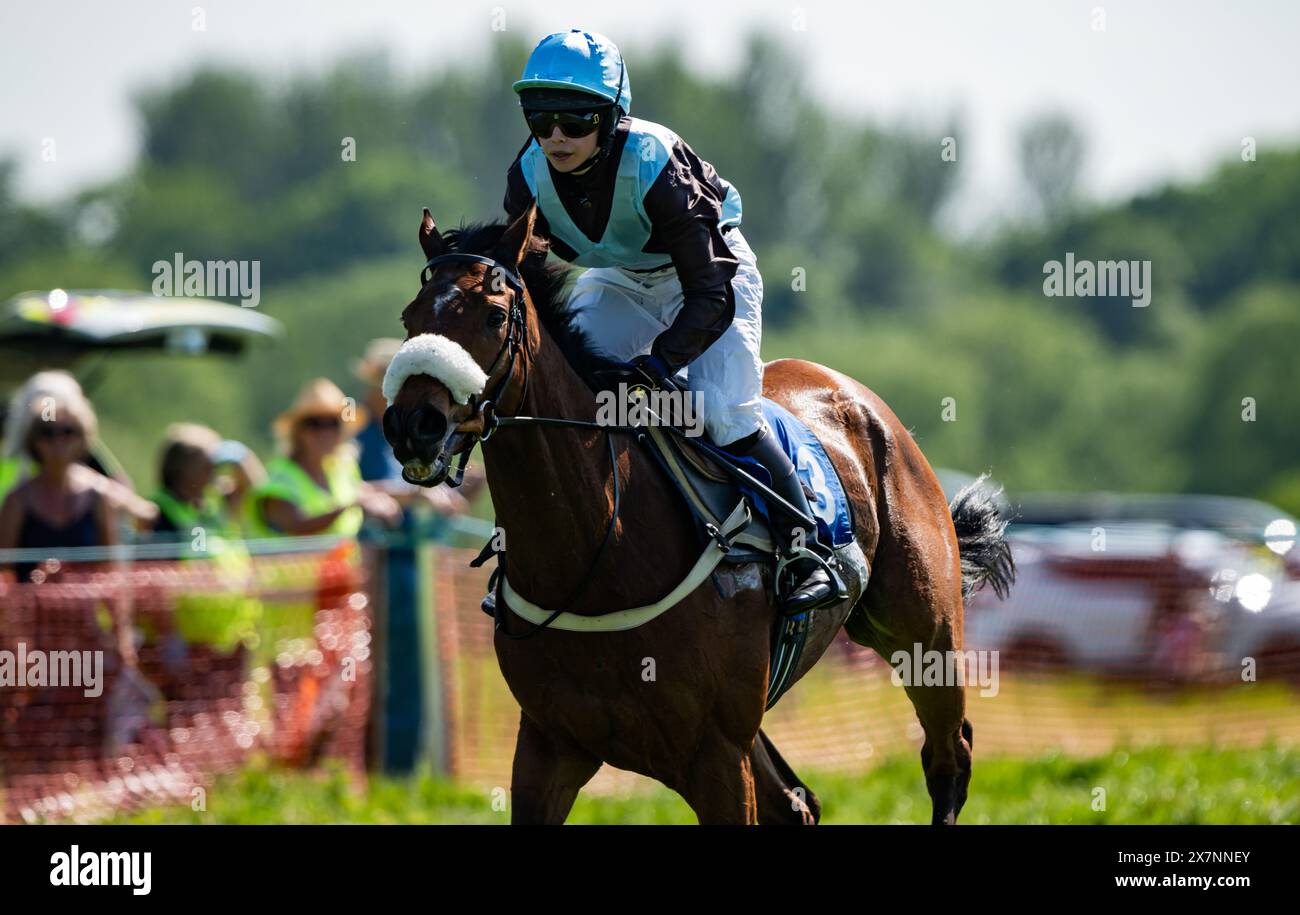 Lord of cheshire jumping hi-res stock photography and images - Alamy