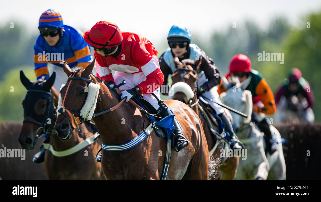 Tabley races hi-res stock photography and images - Alamy