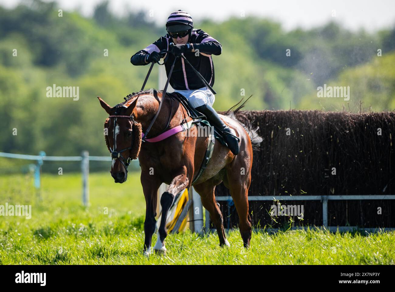 Imagery from the 2024 Knutsford Races, Tabley Hall, Cheshire, Sunday ...