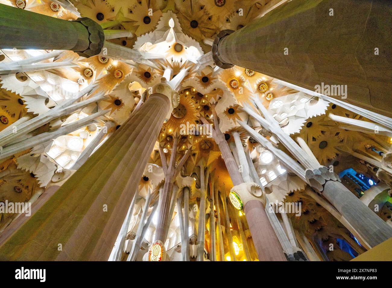 Sagrada Familia, a church, basilica, designed by Antonio Gaudi, in ...