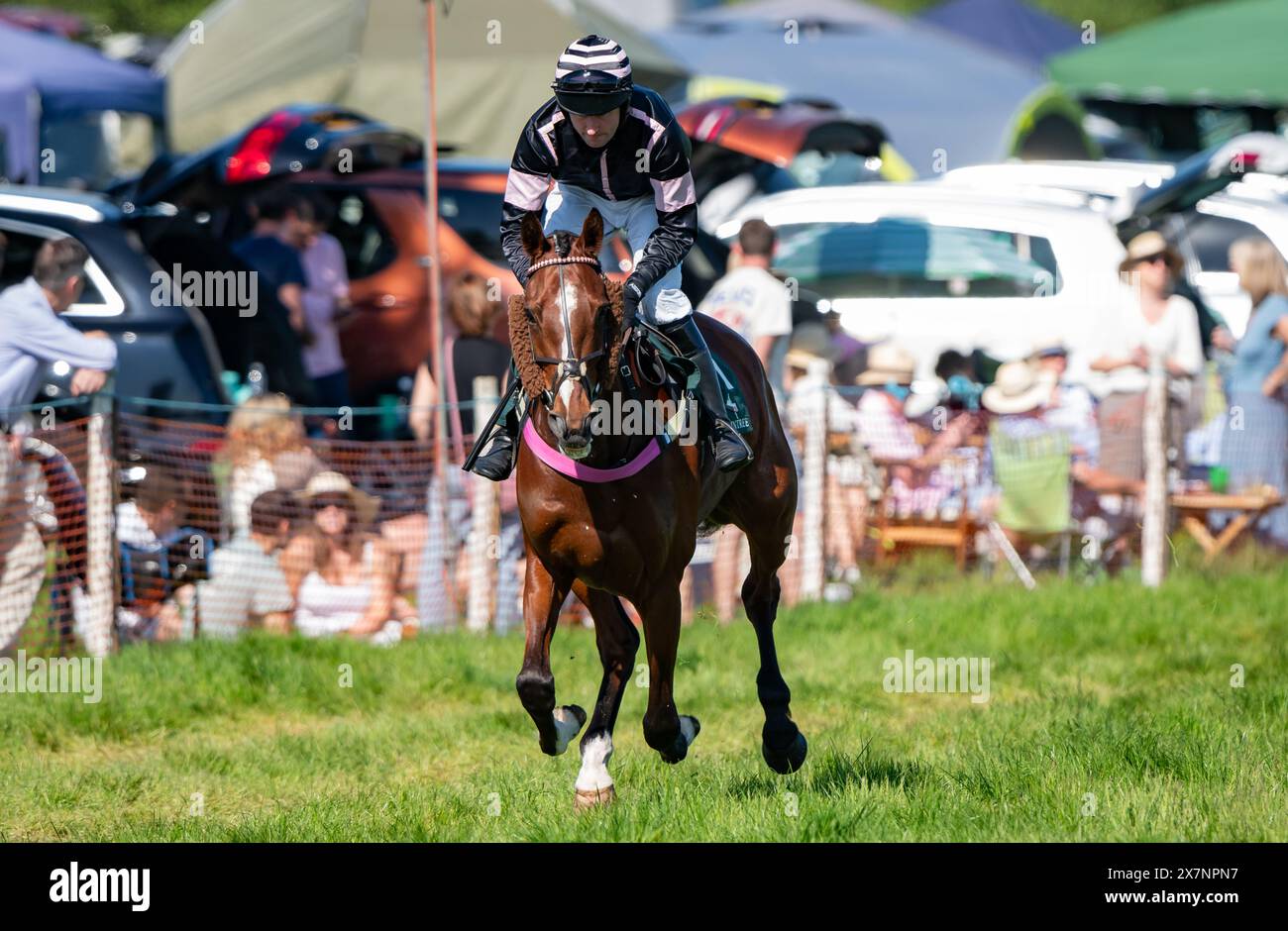 Tabley hall cheshire hi-res stock photography and images - Alamy