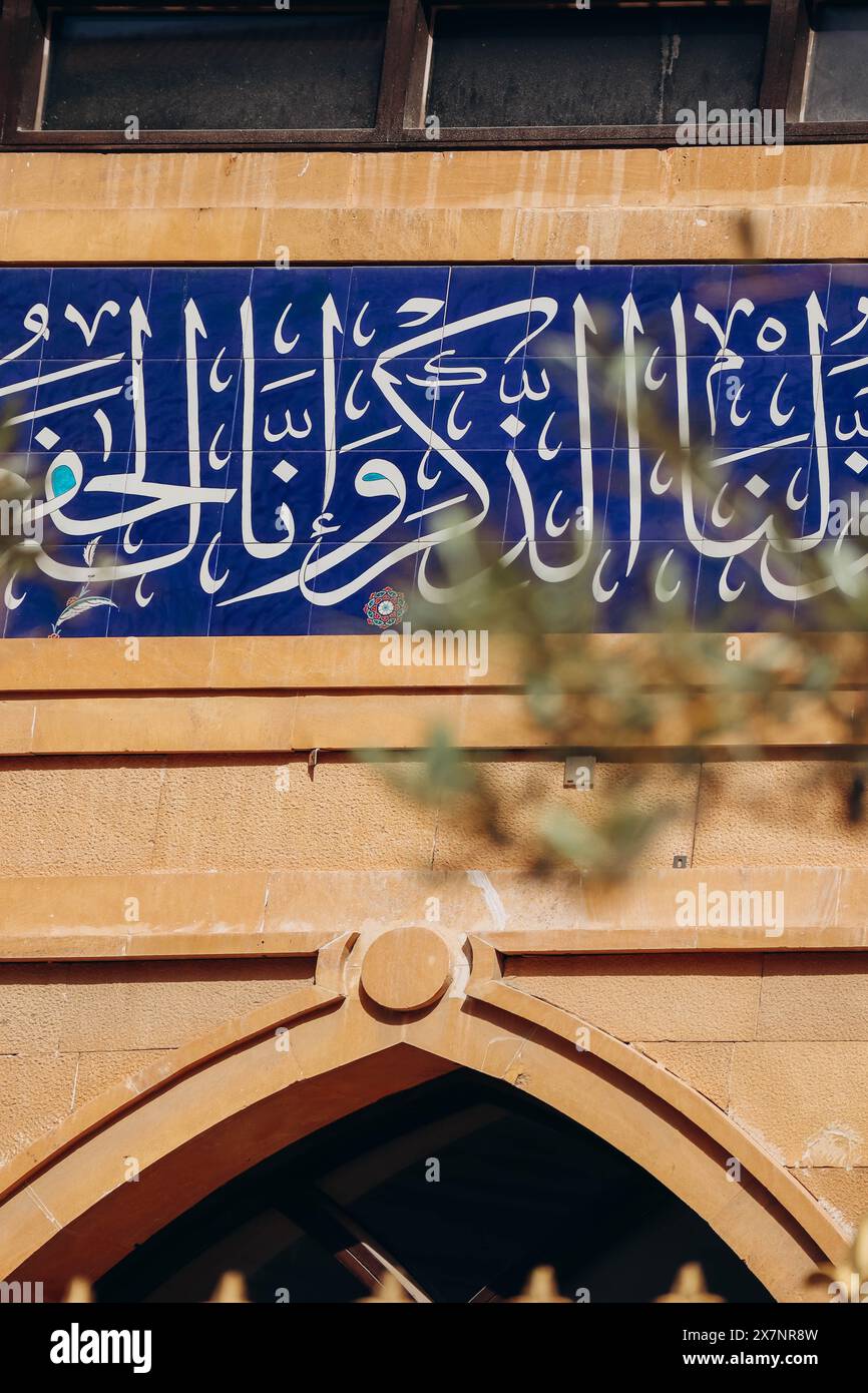 Olive tree and mosque in the background Stock Photo - Alamy
