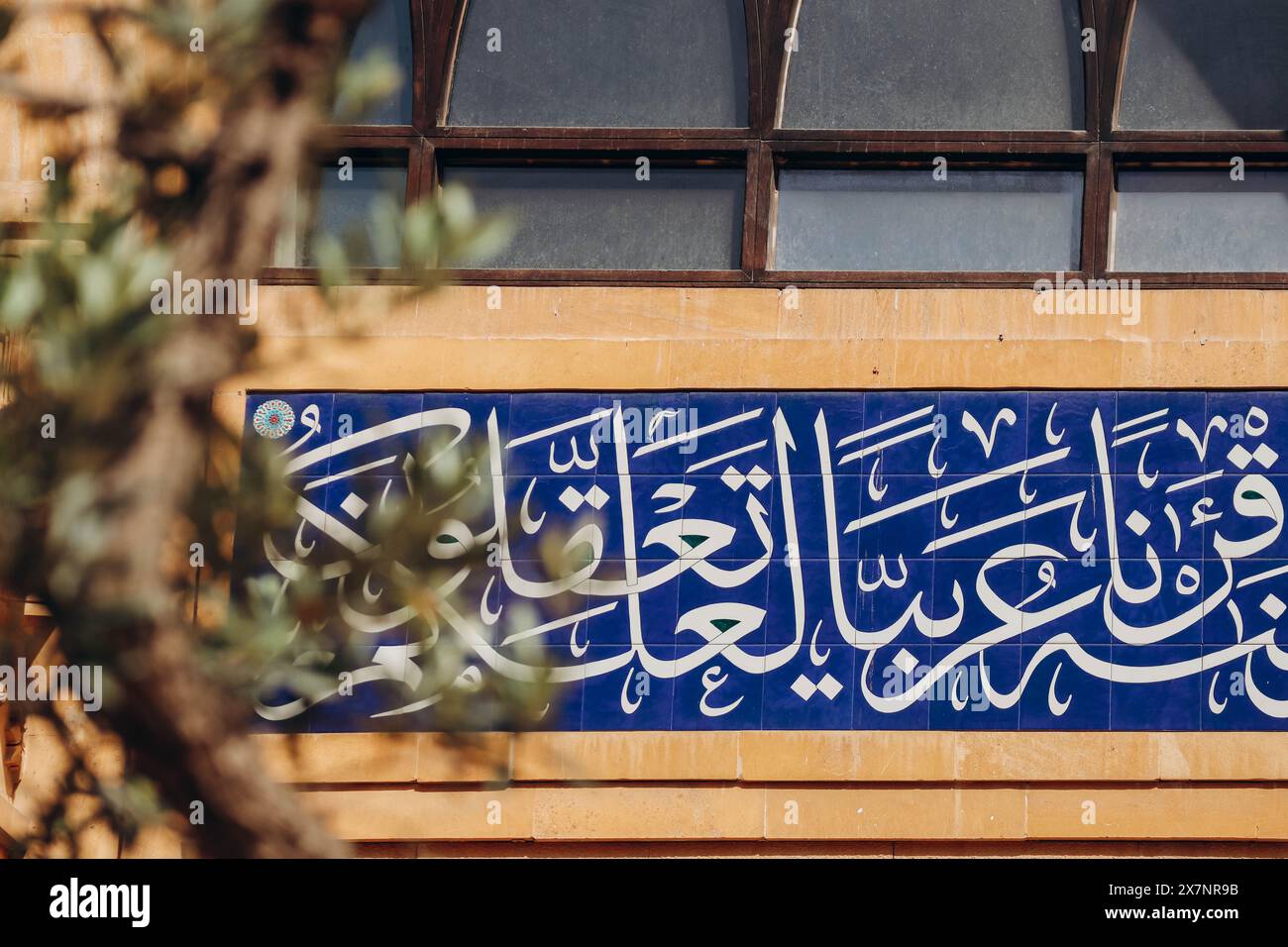 Olive tree and mosque in the background Stock Photo - Alamy