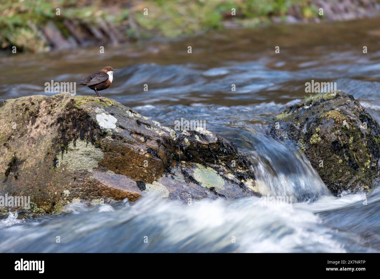 Slow motion river water flow hi-res stock photography and images - Alamy