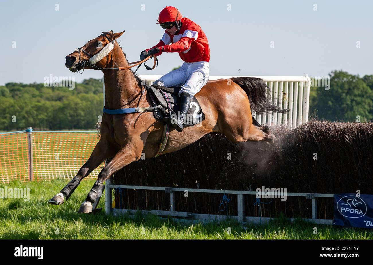 Imagery from the 2024 Knutsford Races, Tabley Hall, Cheshire, Sunday ...