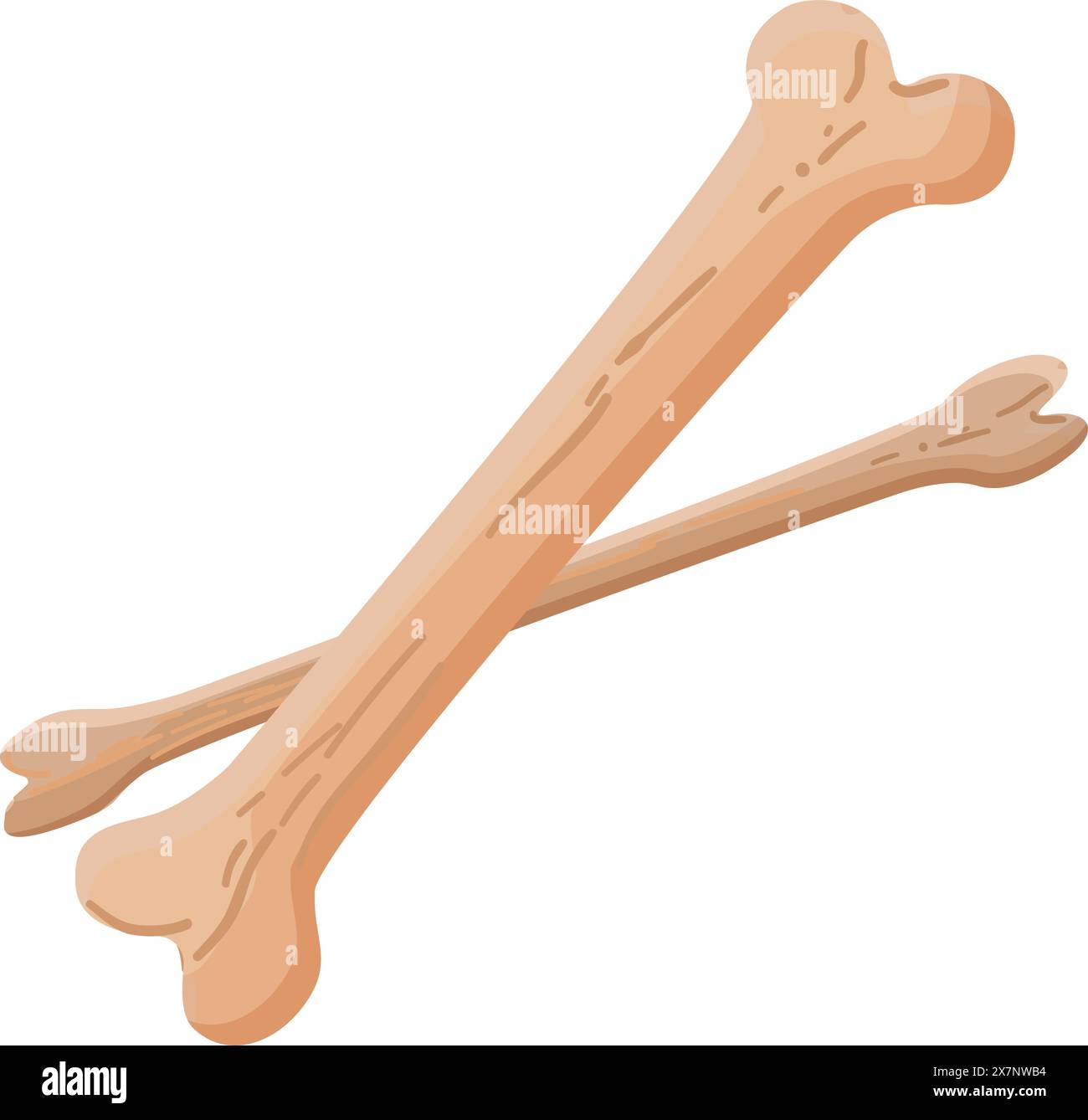 Cartoon illustration of crossed bones Stock Vector Image & Art - Alamy