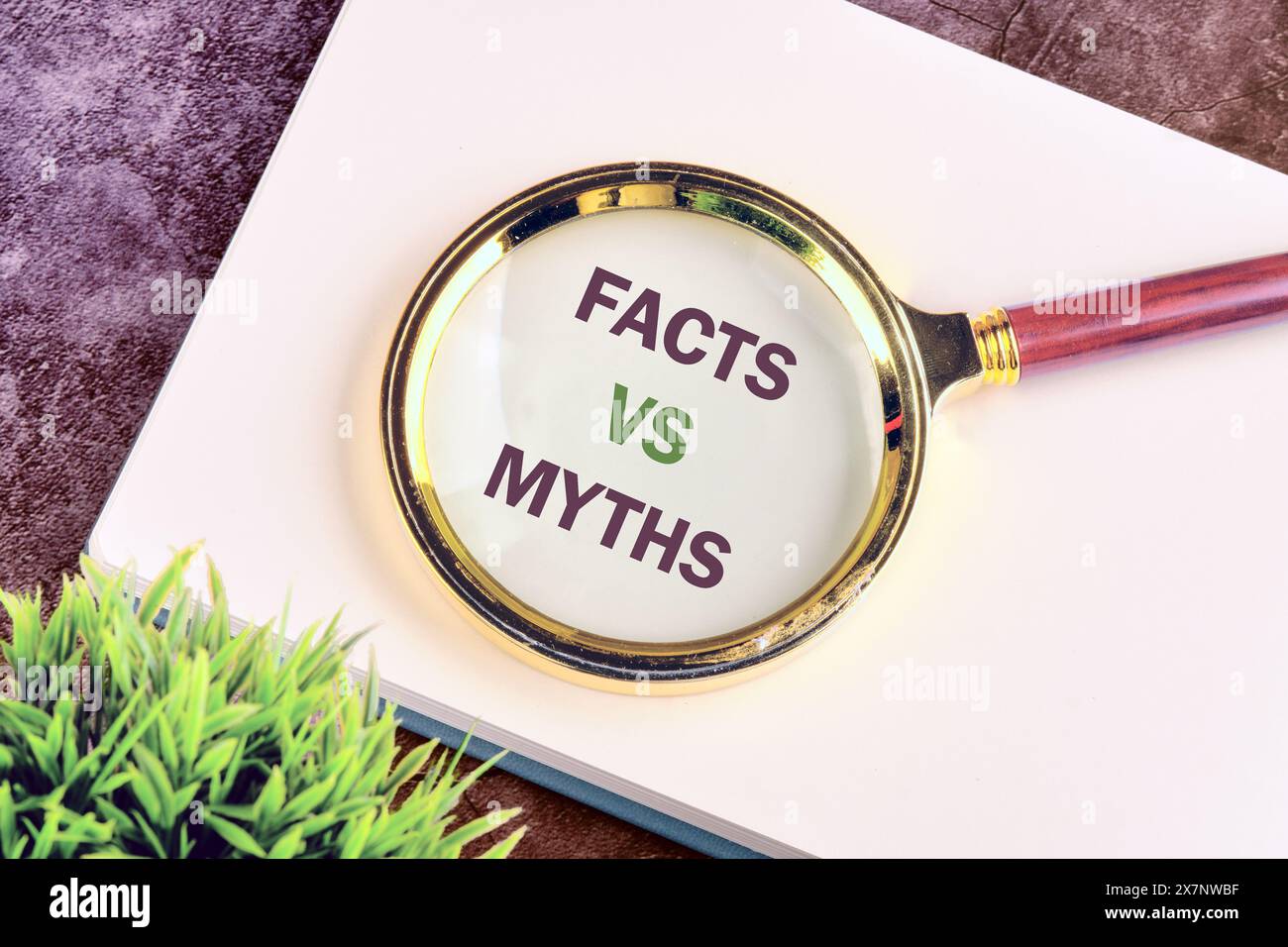 Conceptual symbol. Copy space. Facts vs myths words written through a ...