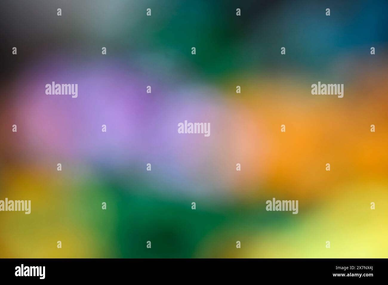 blurry flowering spring plants Stock Photo - Alamy