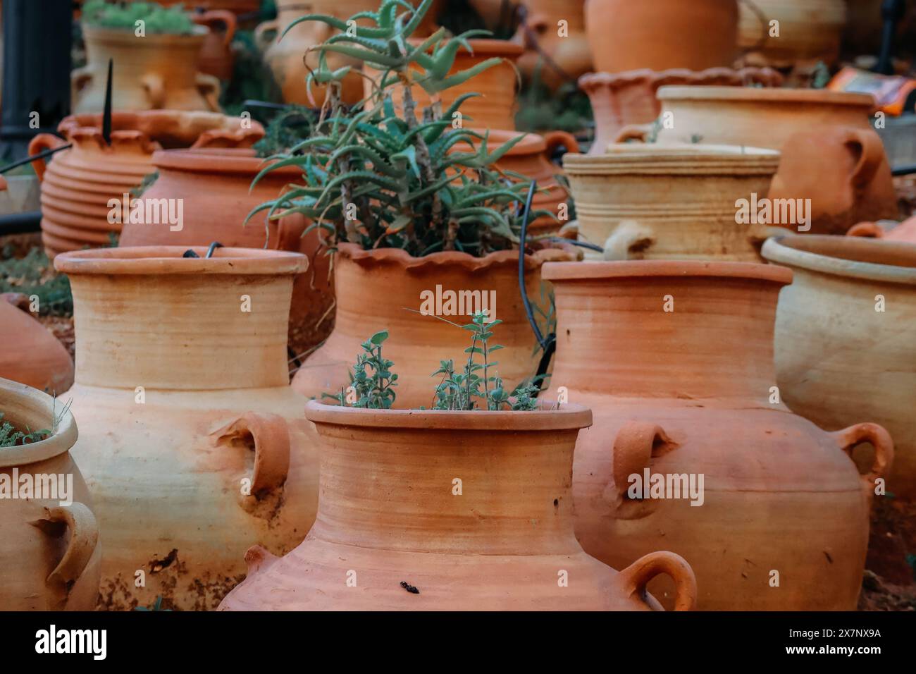 Roman baths beirut lebanon middle hi-res stock photography and images ...