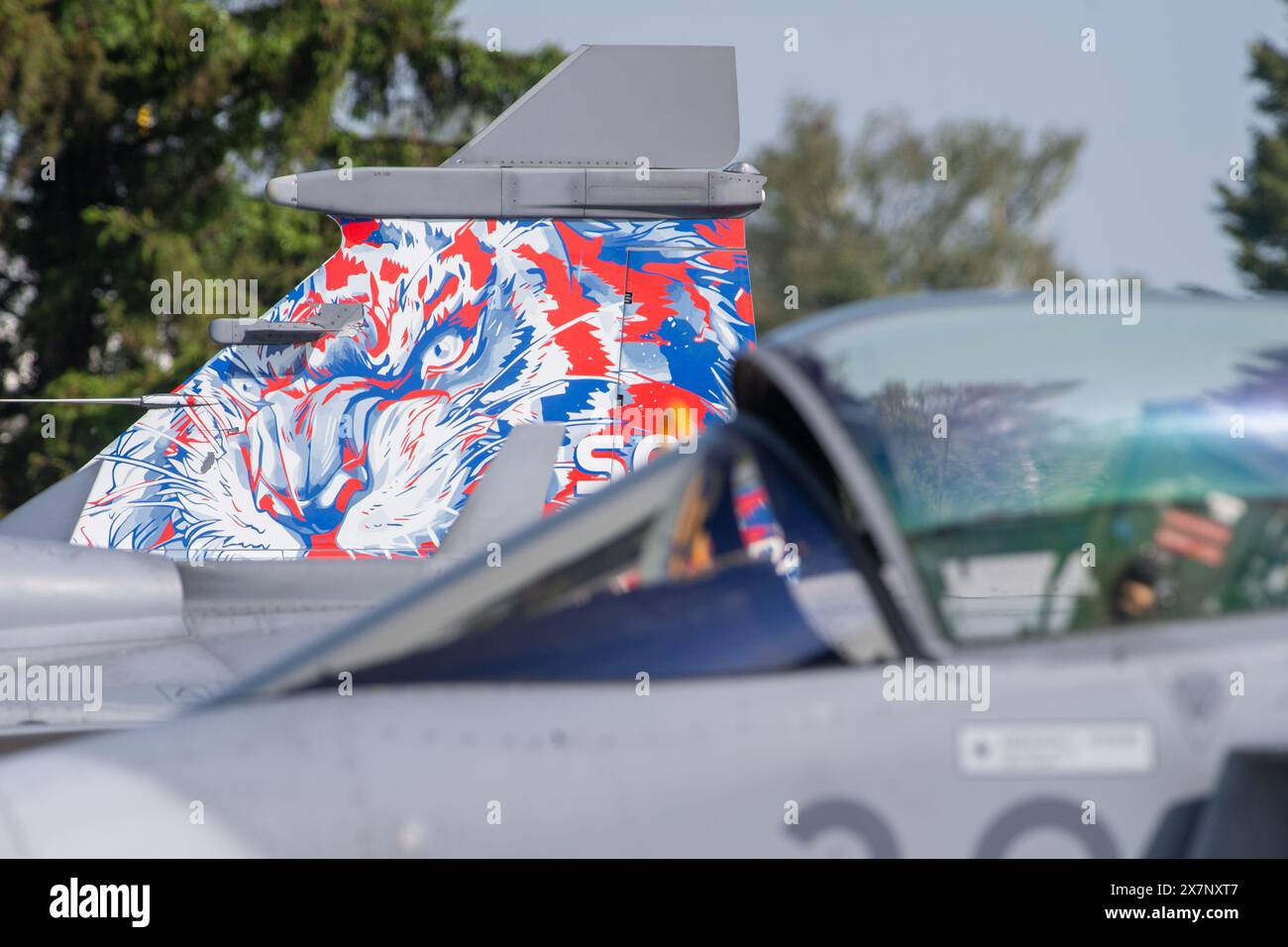 The Media Day on Lion Effort 2024 military exercise Saab JAS-39 Gripen ...