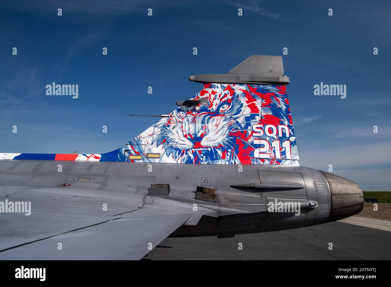 The Media Day on Lion Effort 2024 military exercise Saab JAS-39 Gripen ...