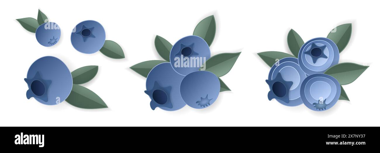Set of 3d papercut cherry blueberry cutout berry fruit. Summer layered ...