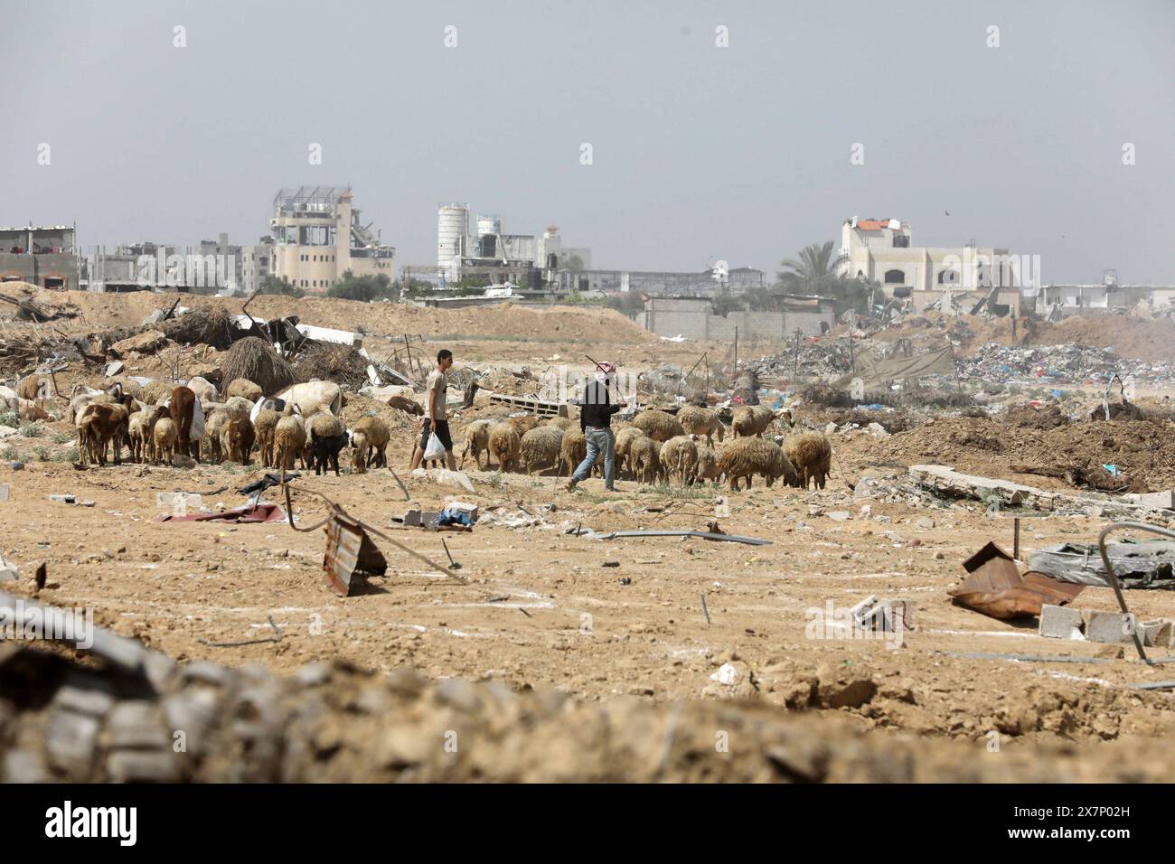 Displaced Palestinians walk between buildings destroyed in Israeli ...