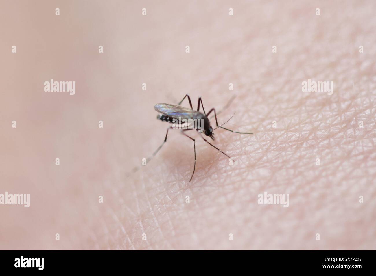 © PHOTOPQR/LE PARISIEN/Olivier Arandel ; Paris ; 16/05/2024 ; Paris ...